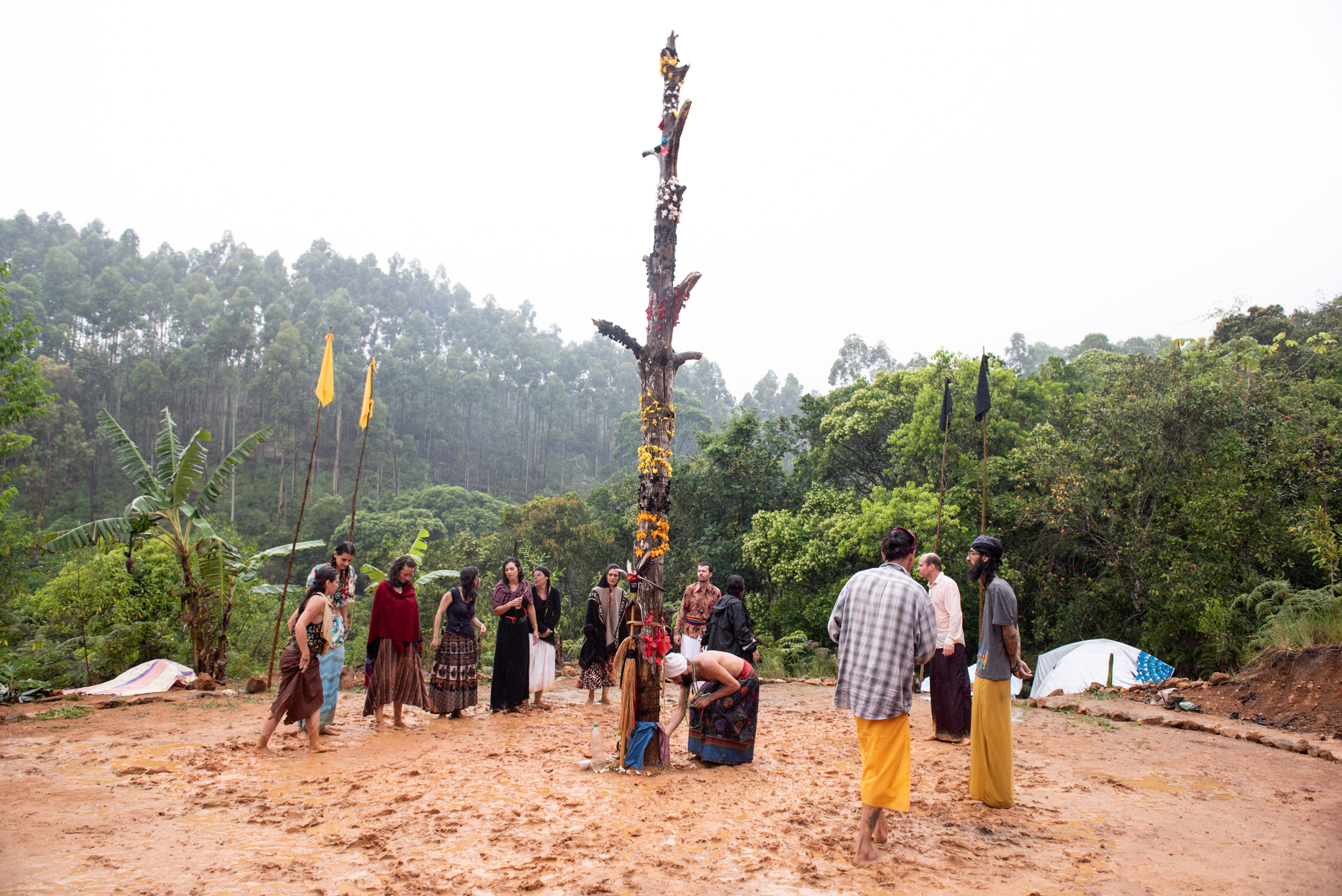 Sun Dance Ceremony | A Native American's Perspective on Paying Homage ...